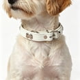 Adjustable Leather Dog Collar Comfortable Pet Ring for Small Medium ...