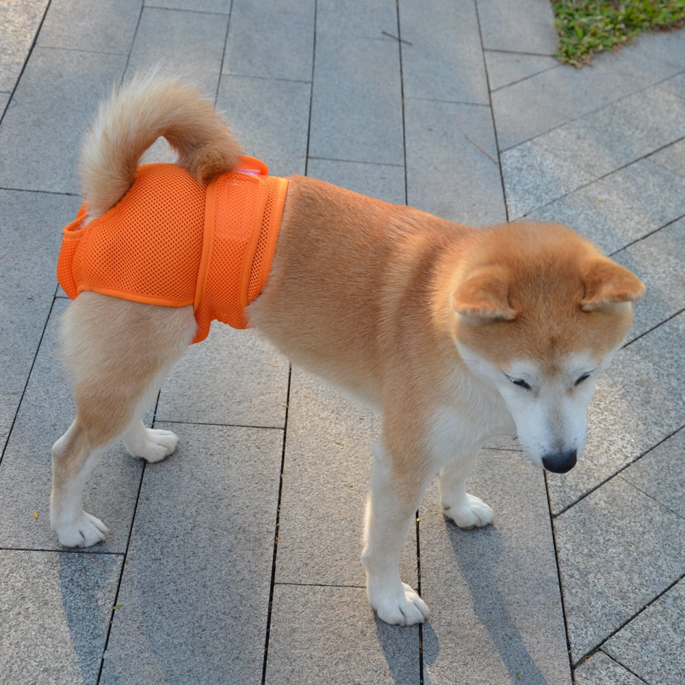 Adjustable Female Dog Diaper Pants, Reusable Dog Period Underwear Pet ...