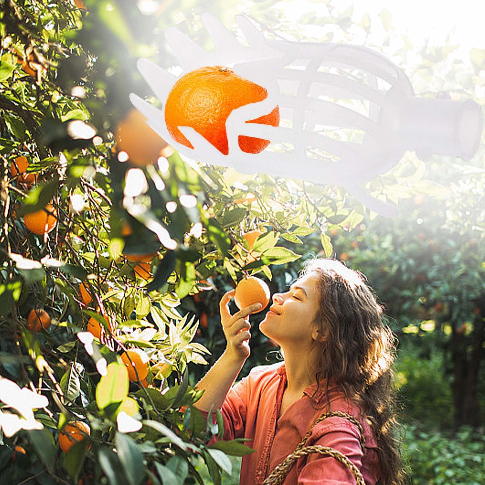 Adjustable Fruit Picker with Telescoping Handle and Basket, Ideal for ...