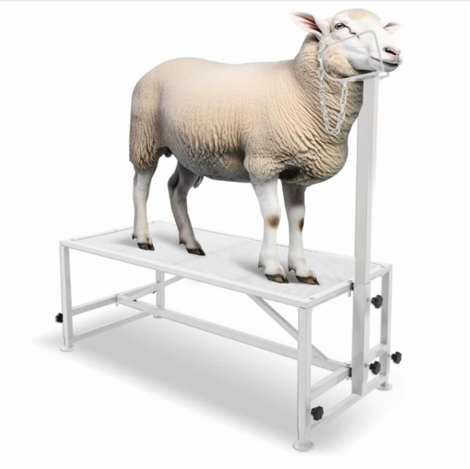 Adjustable Goat Milking & Sheep Trimming Stand, Heavy-Duty Steel Frame ...