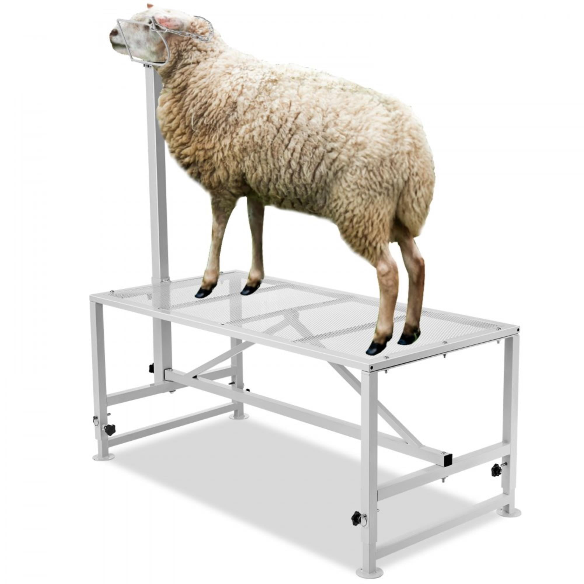 Adjustable Goat & Sheep Stand 47x23, Metal Milking & Shearing Stand for ...