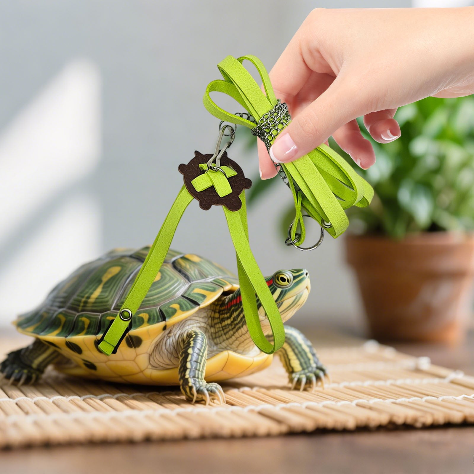 Adjustable Harness & Leash Set Strap for Turtles Small Pet Leash ...