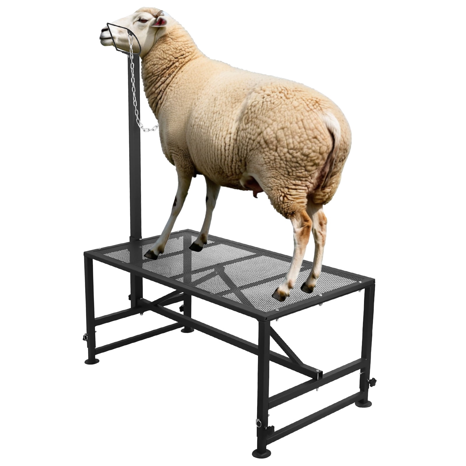 Adjustable Headpiece 41-64.5" Metal Goat Trimming Stand, 47x23 Sheep ...