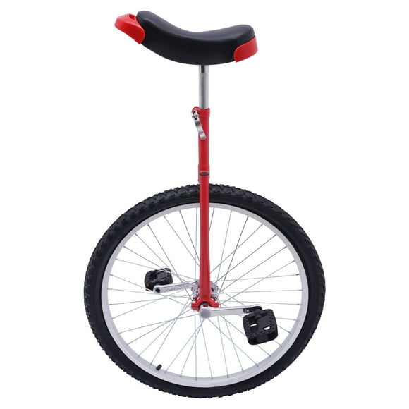 Unicycle Wheel