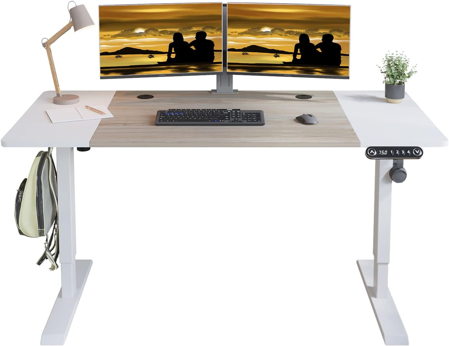 Adjustable Height Electric Standing Desk - 55 x 24 Inch Sit Stand ...
