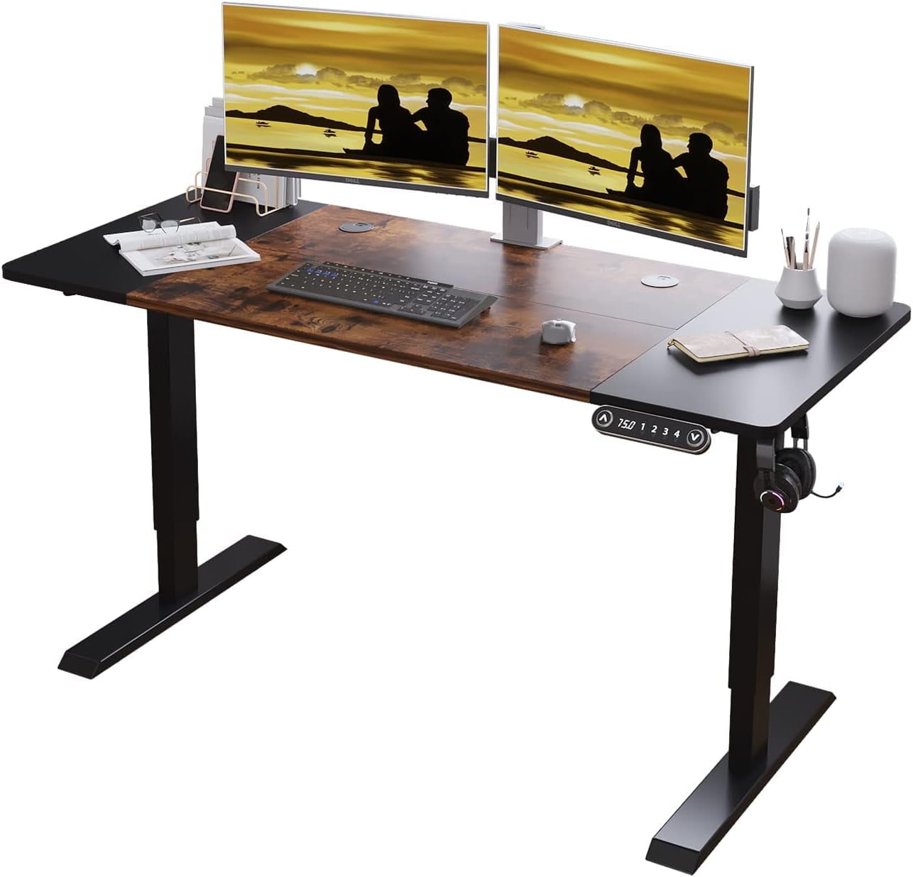 Adjustable Height Electric Standing Desk - 55 x 24 Inch Sit Stand ...
