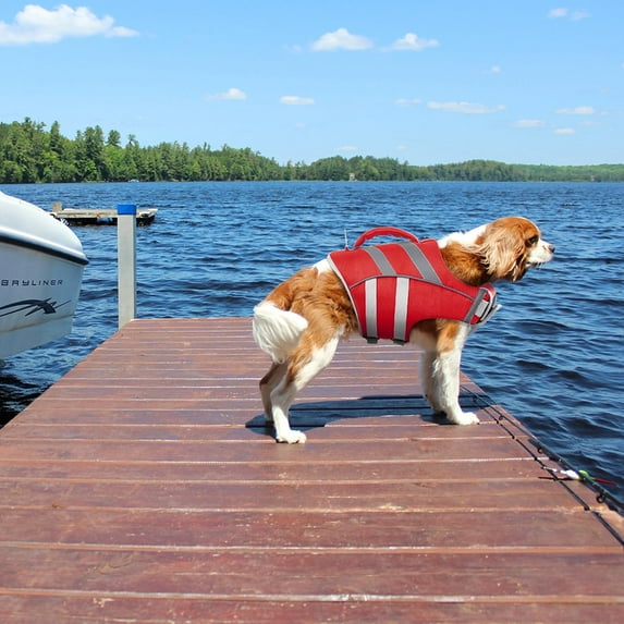 Adjustable High Visibility Dog Life Vest, Ripstop Dog Lifesaver Pet ...
