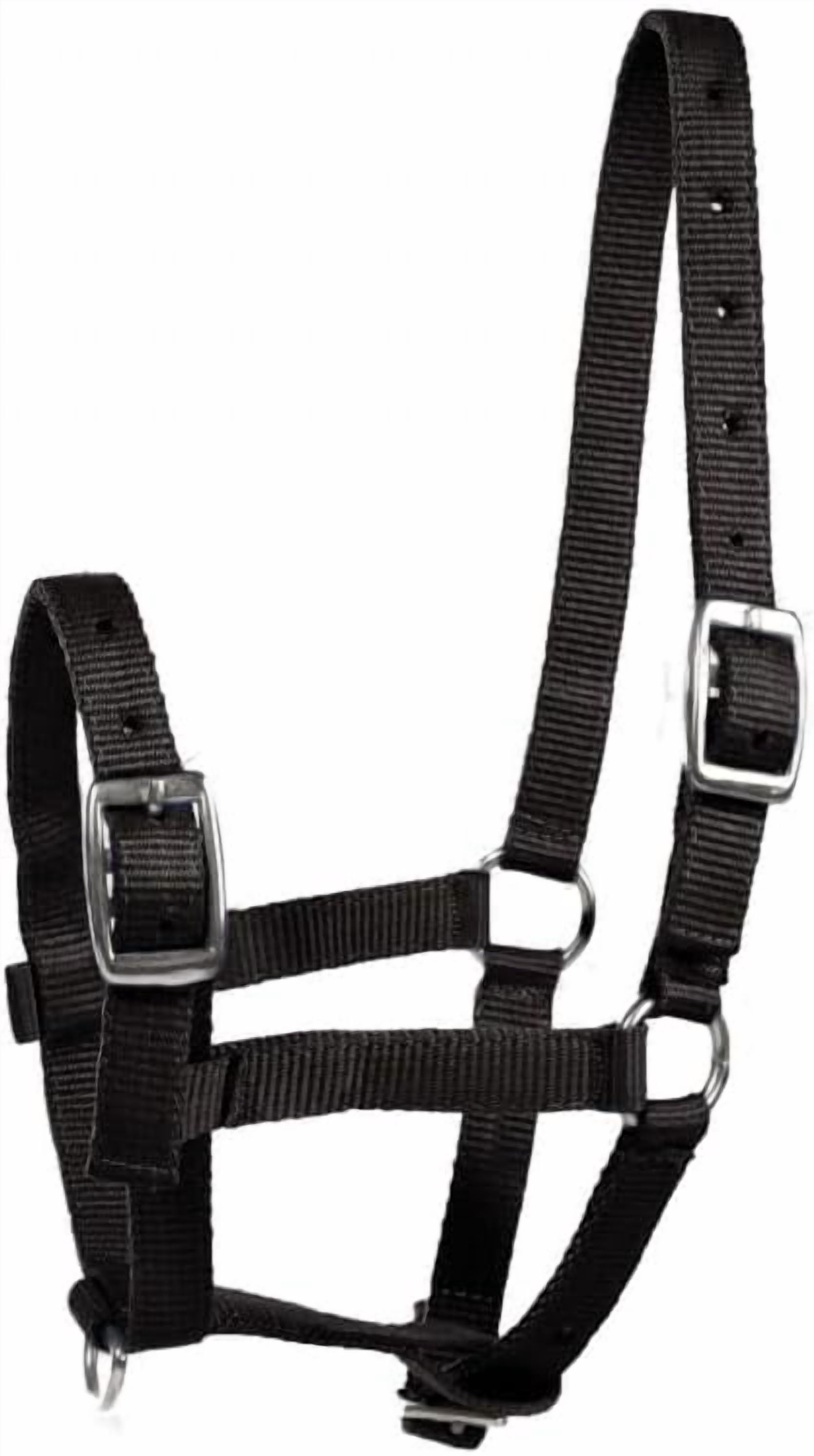 Adjustable Horse Halter for Foals, Colts, Fillies, Mini Horse Halter ...
