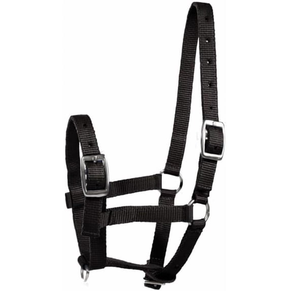 Adjustable Horse Halter for Foals, Colts, Fillies, Mini Horse Halter ...
