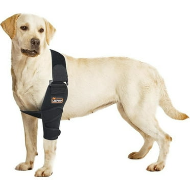 NeoAlly Super Supportive Dog Braces for Rear Leg and Hock Joint with ...