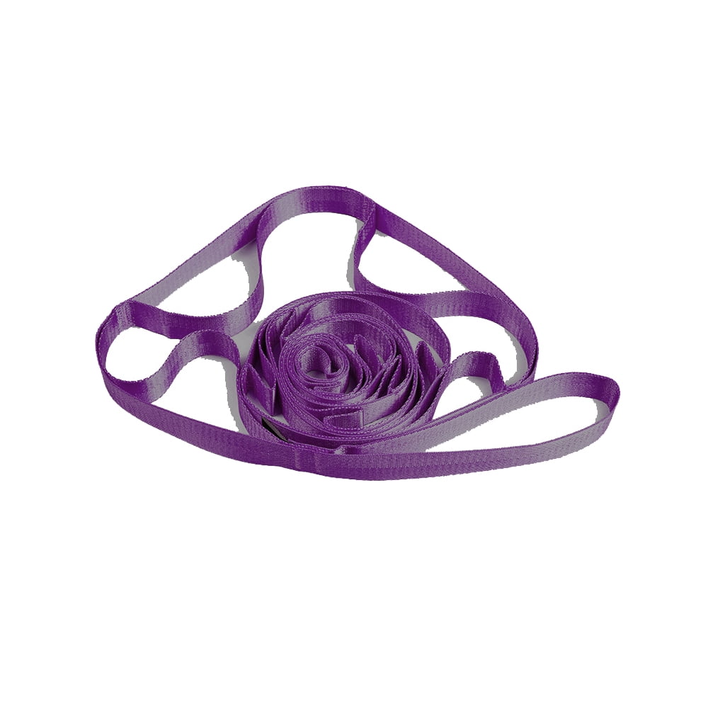 Adjustable Multi-Loop for Pilates, Dance Fitness Rehabilitative Yoga ...