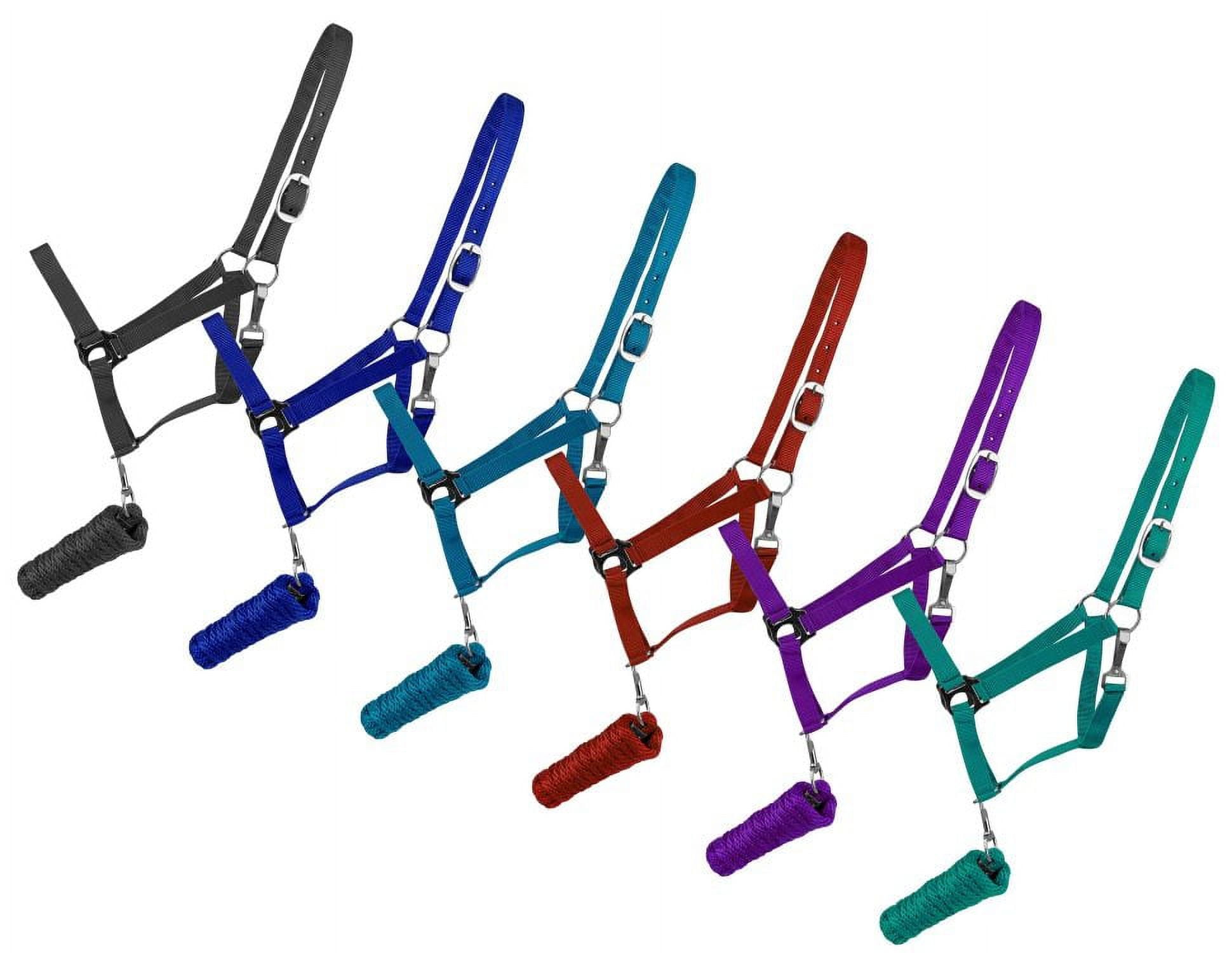 Adjustable Nylon Halter w/ 8 1/2' Removable Lead Rope - Walmart ...