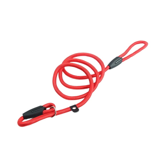 Adjustable Nylon Slip Lead with P-Chain,Padded Handle, Heavy Duty Chew ...
