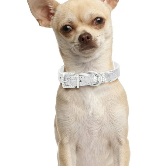 Adjustable PU Leather Pet Collars for Small Dogs and Cats - Stylish ...