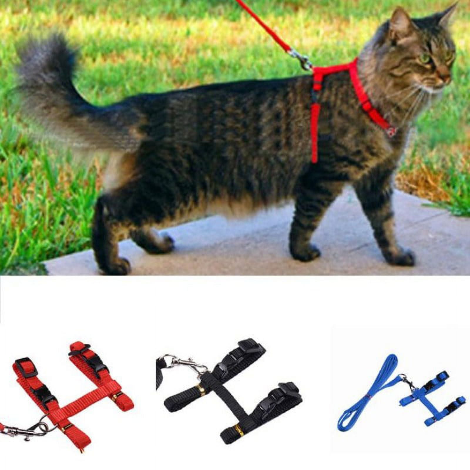 Adjustable Pet Cat Traction Rope Dog Cat Walk Out Nylon Harness Collar ...