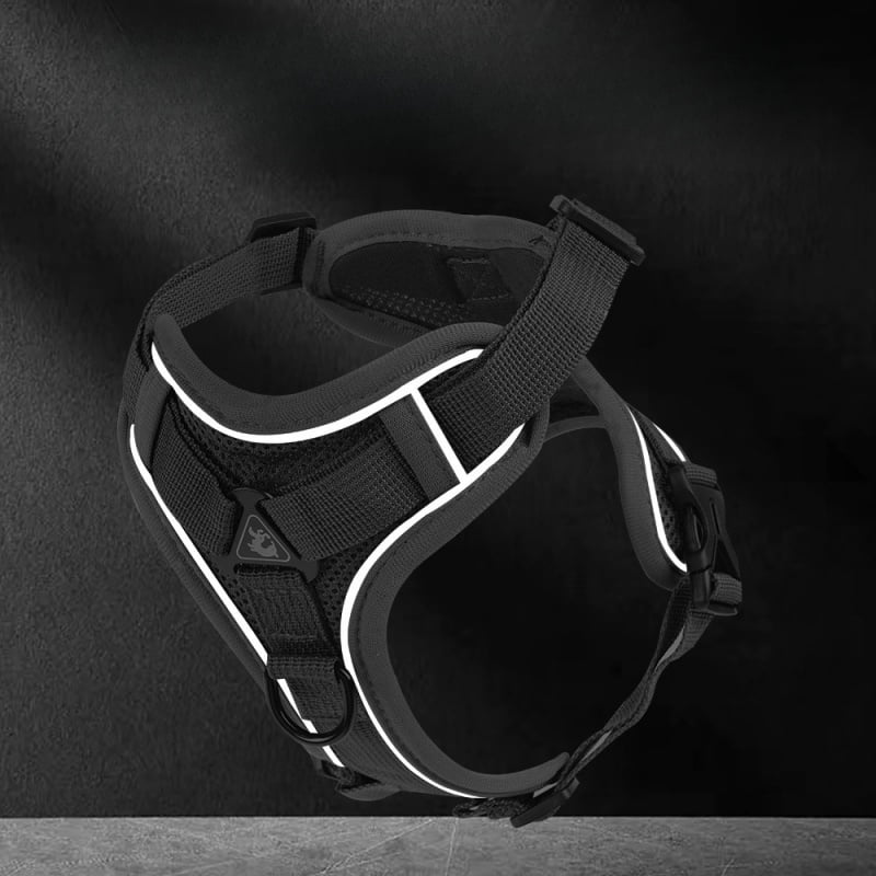 Adjustable Pet Harness Leash Set Dog Vest for Small Dogs and Cats ...