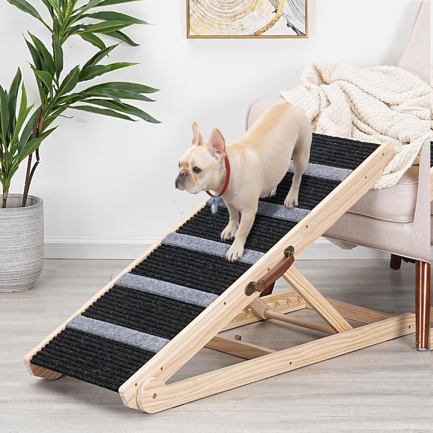 Adjustable Pet Ramp for All Dogs and Cats - Non Slip Carpet Surface and ...