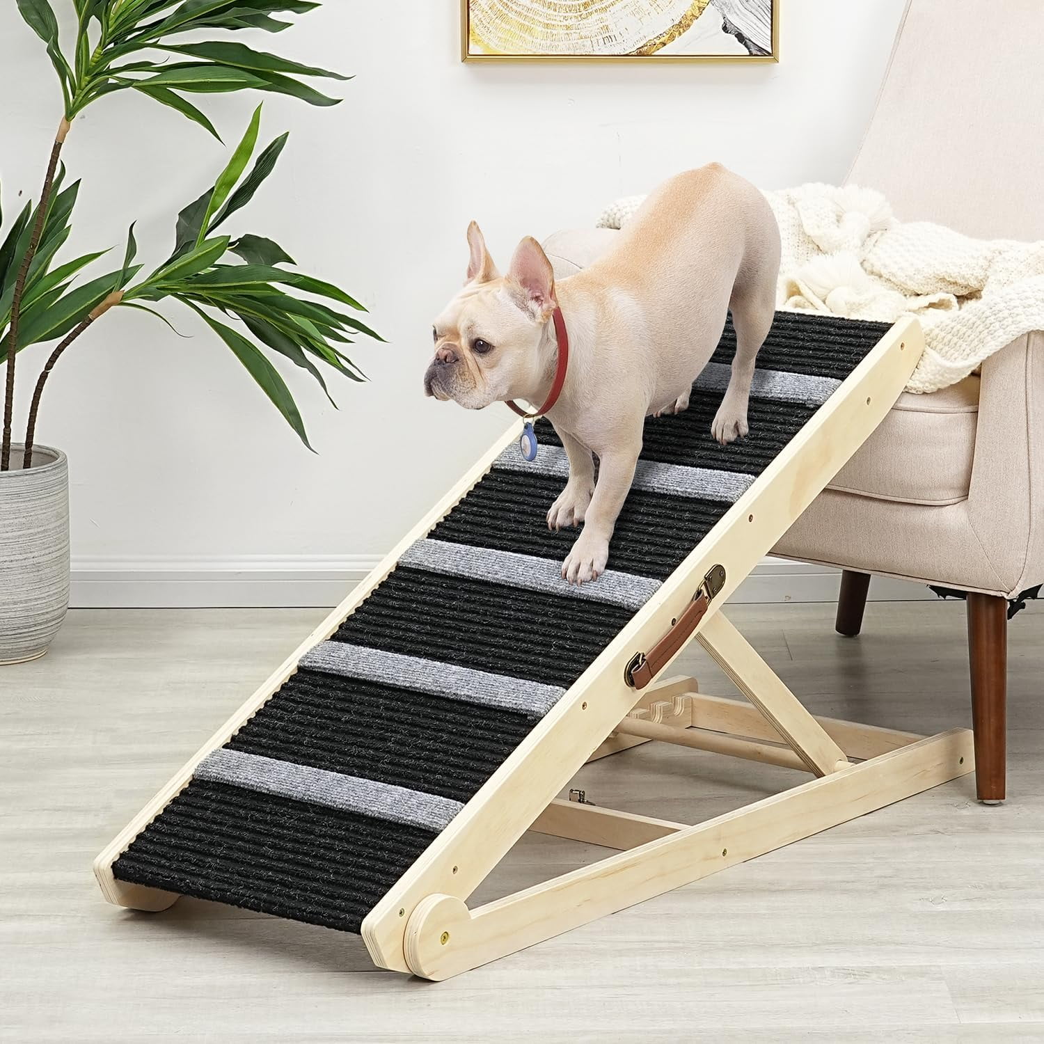 Adjustable Pet Ramp for All Dogs and Cats - Non Slip Carpet Surface and ...