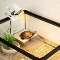 Adjustable Reptile Basking Lamp with Timer, Sunbathing Heat Lamp for ...