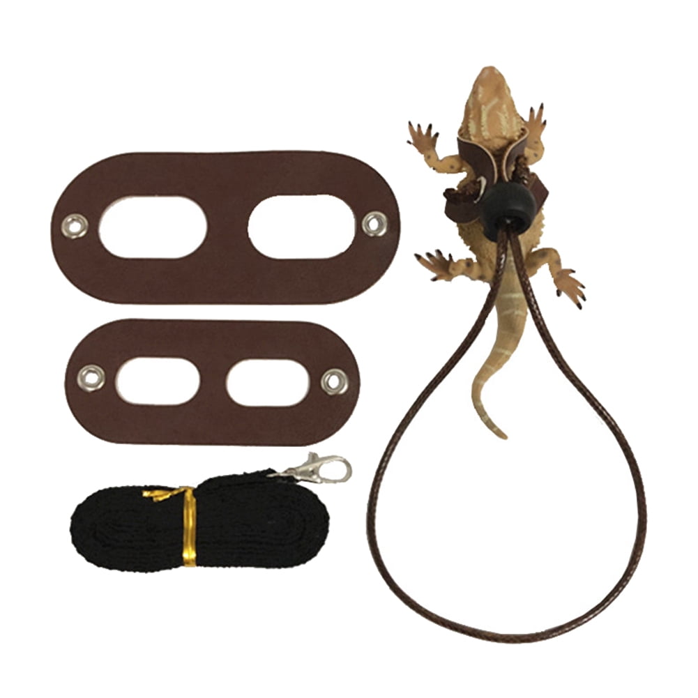 Adjustable Reptile Leash Bearded Dragon Lizard Harness Wing Traction ...