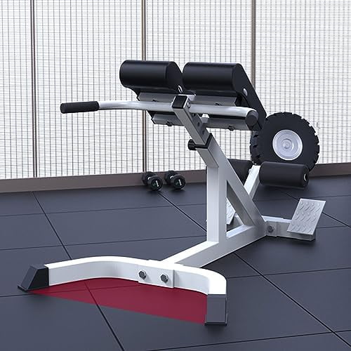 Adjustable Roman Chair Back Extension Exercise Back Training Supine ...