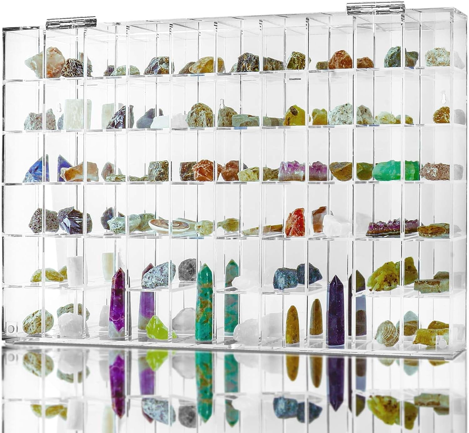 Adjustable Seashell Display Case Box Large Rock Fossil Arrowhead ...