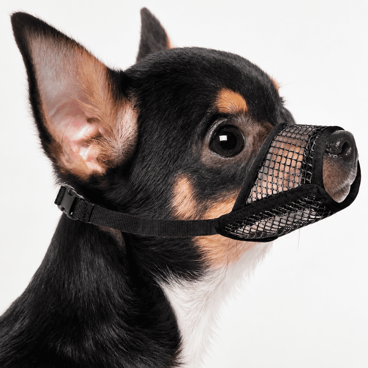 Adjustable Soft Mesh Dog Muzzle, Anti-Bite Anti-Bark Breathable Pet ...