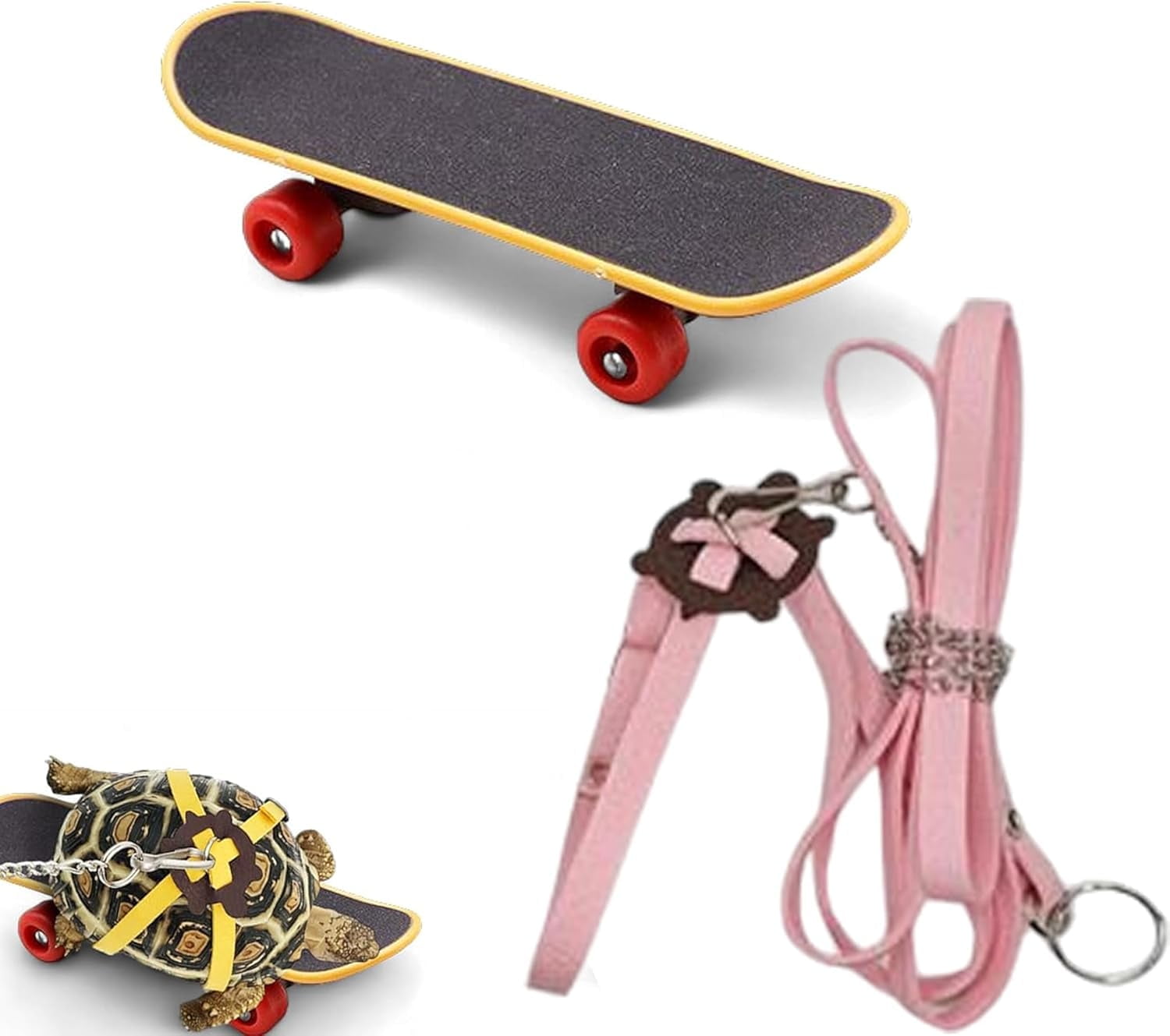 Adjustable Tortoise Leash Funny Skateboard Set, Training Harness Mini ...
