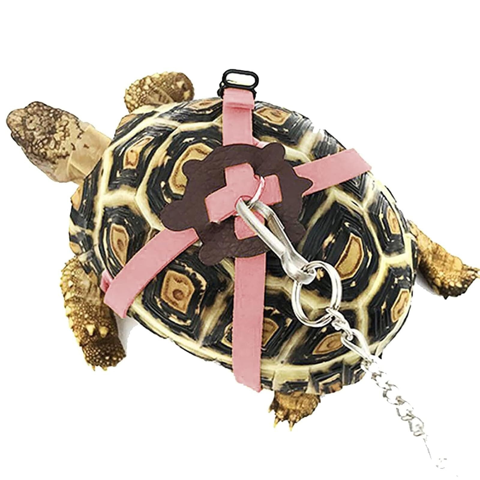 Adjustable Turtle Leash Harness, Pet Tortoise Walking Rope with ...