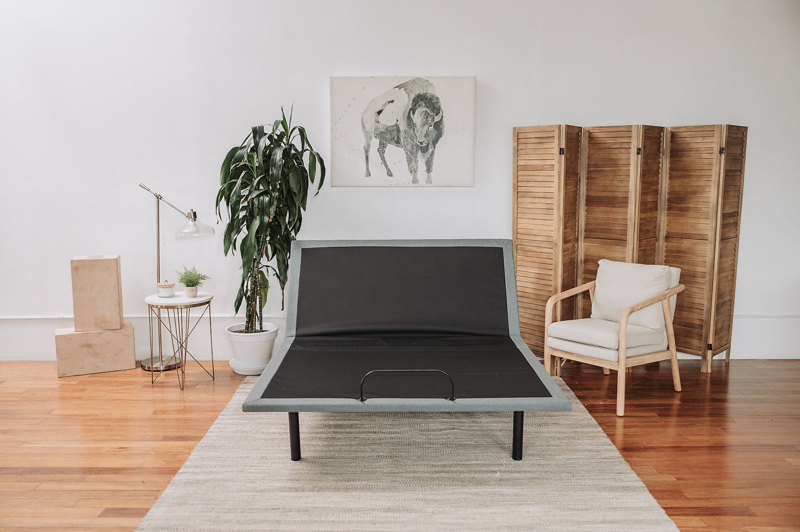 Adjustable Twin Bed with Wireless Remote, Head and Foot Elevation, Easy Setup, Upholstered with ...