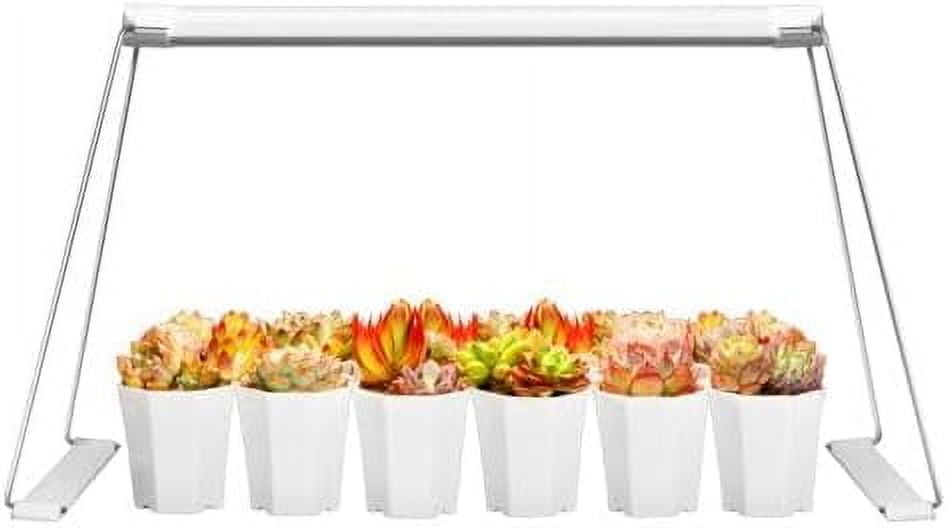 Adjustable Wire Tabletop Grow Light | Energy-Efficient Height ...