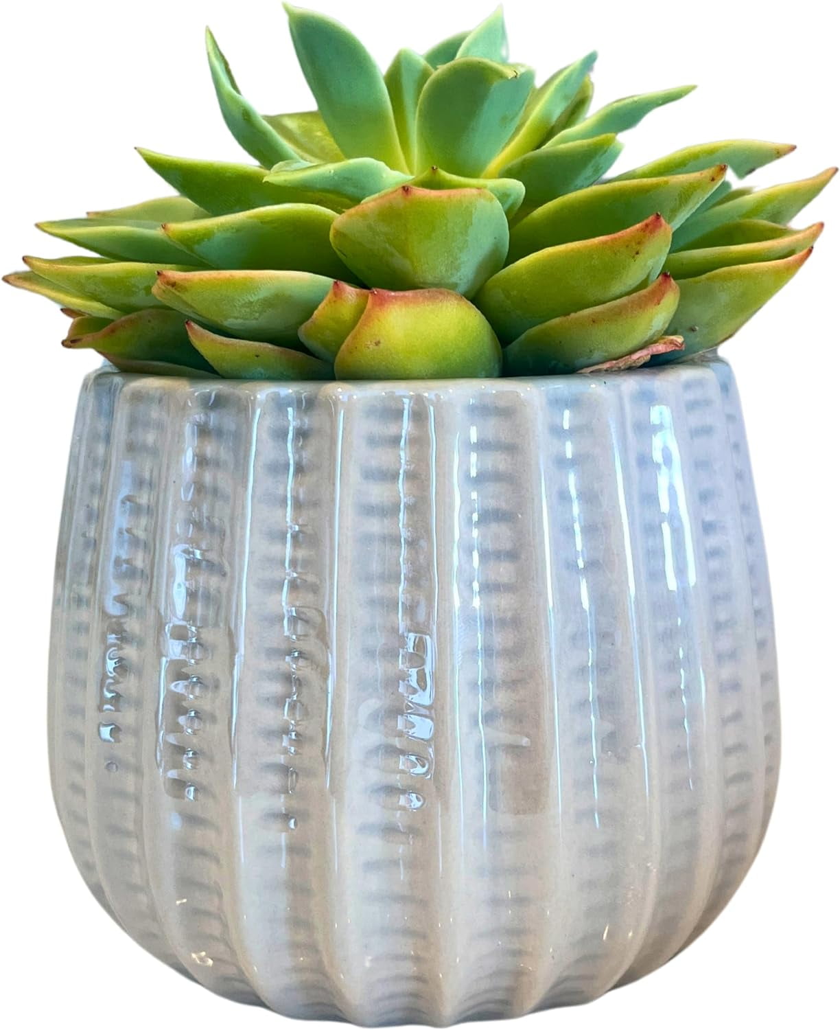 Admired By Nature 4" Ceramic Flower Planter, Ceramic Pot Planter ...