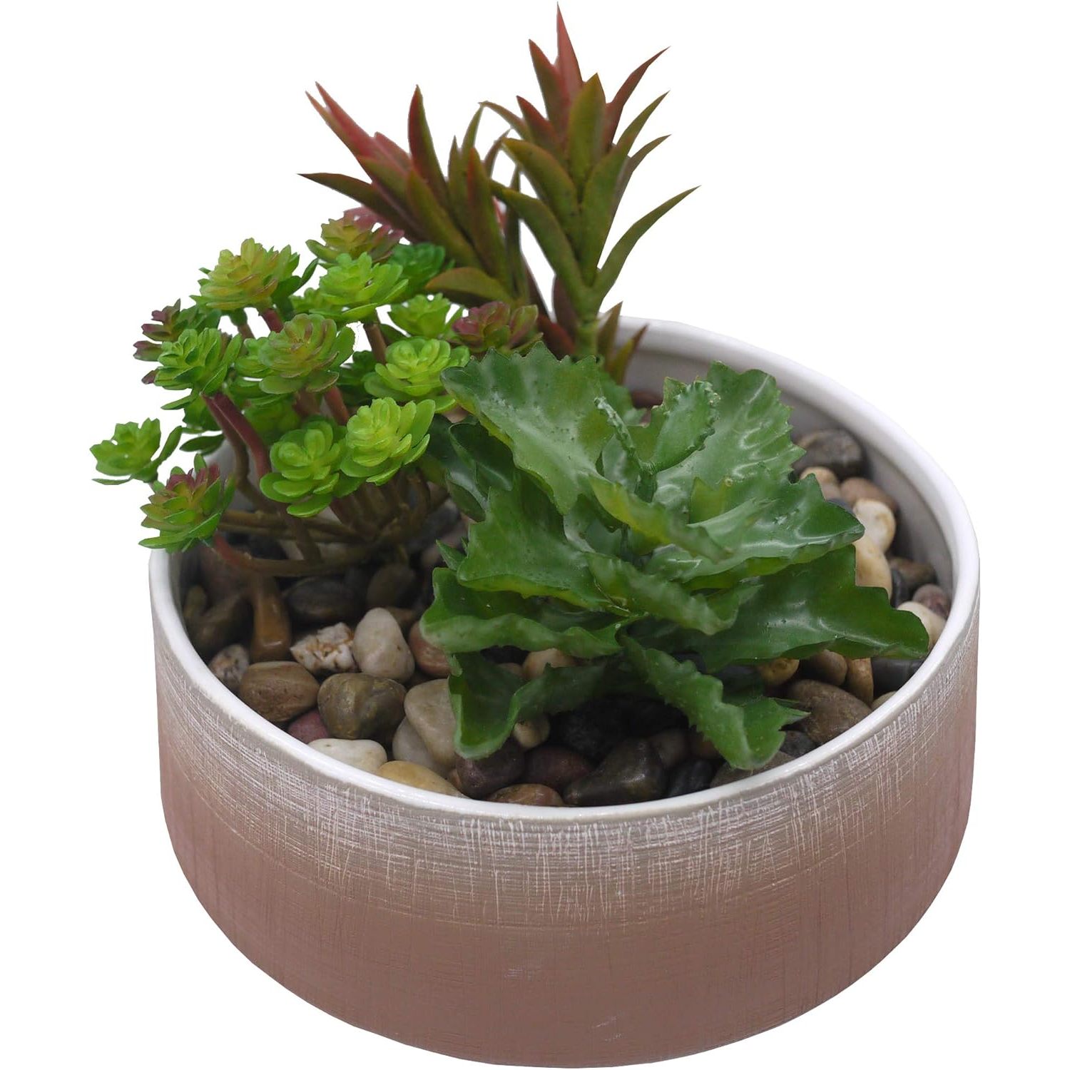 Admired By Nature Coffee Two Toned Ombre Ceramic Tray, Planters for Succulent and Little Snake ...