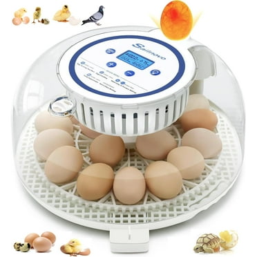 INNVELLO 36 Egg Incubator With Auto Egg Turning, Humidity & Temperature Display,With Egg Candler ...