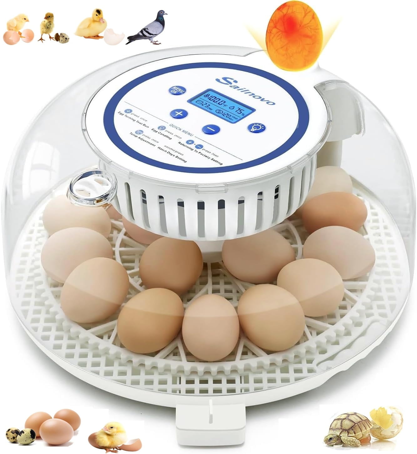 Adnoom 18 Egg Incubator, Automatic Egg Turner, Humidity Control, Built ...