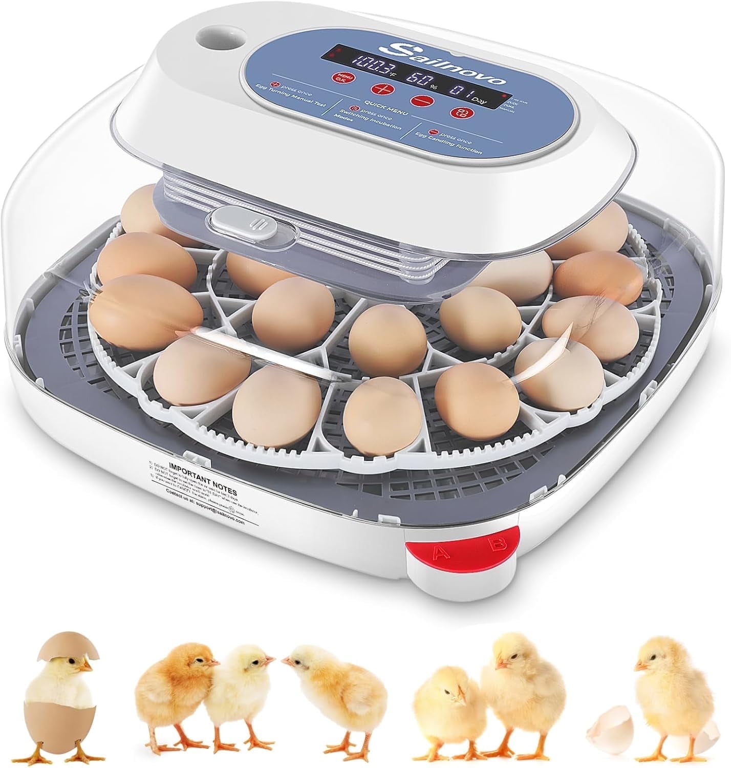 Adnoom 24 Egg Incubator for hatching chicks, Incubator with Temperature ...