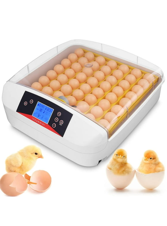 Incubators & Brooders in Poultry Care - Walmart.com