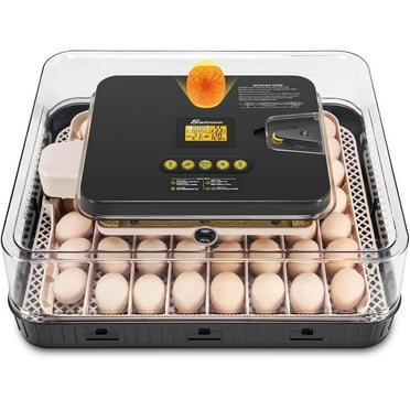 2pcs Transparent Breeding Isolation Box Incubator Hatching Boxes for ...