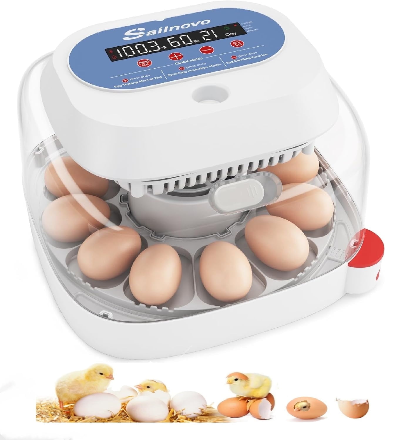 Adnoom Egg Incubator for Hatching Eggs,12 Chicken Incubator for Eggs w ...
