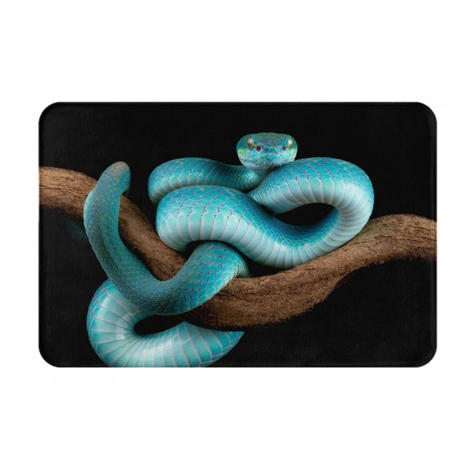 Adobk Blue Viper Snake Rugs Mats Door Mat Outdoor Doormat 16x24in Non ...