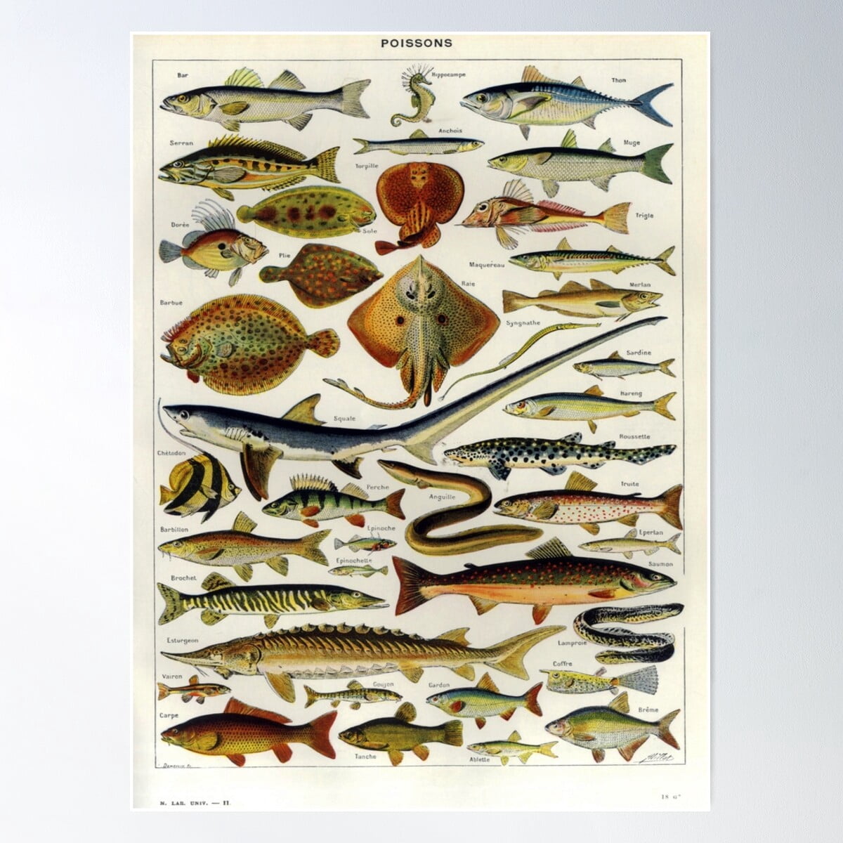 Adolphe Millot, 1857-1921France | Ecology Vintage Illustration By ...