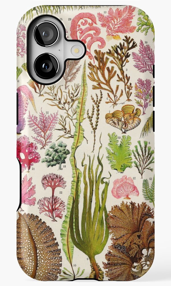 Adolphe Millot Algues Vintage French Botanical Phone Case for iPhone 11 ...