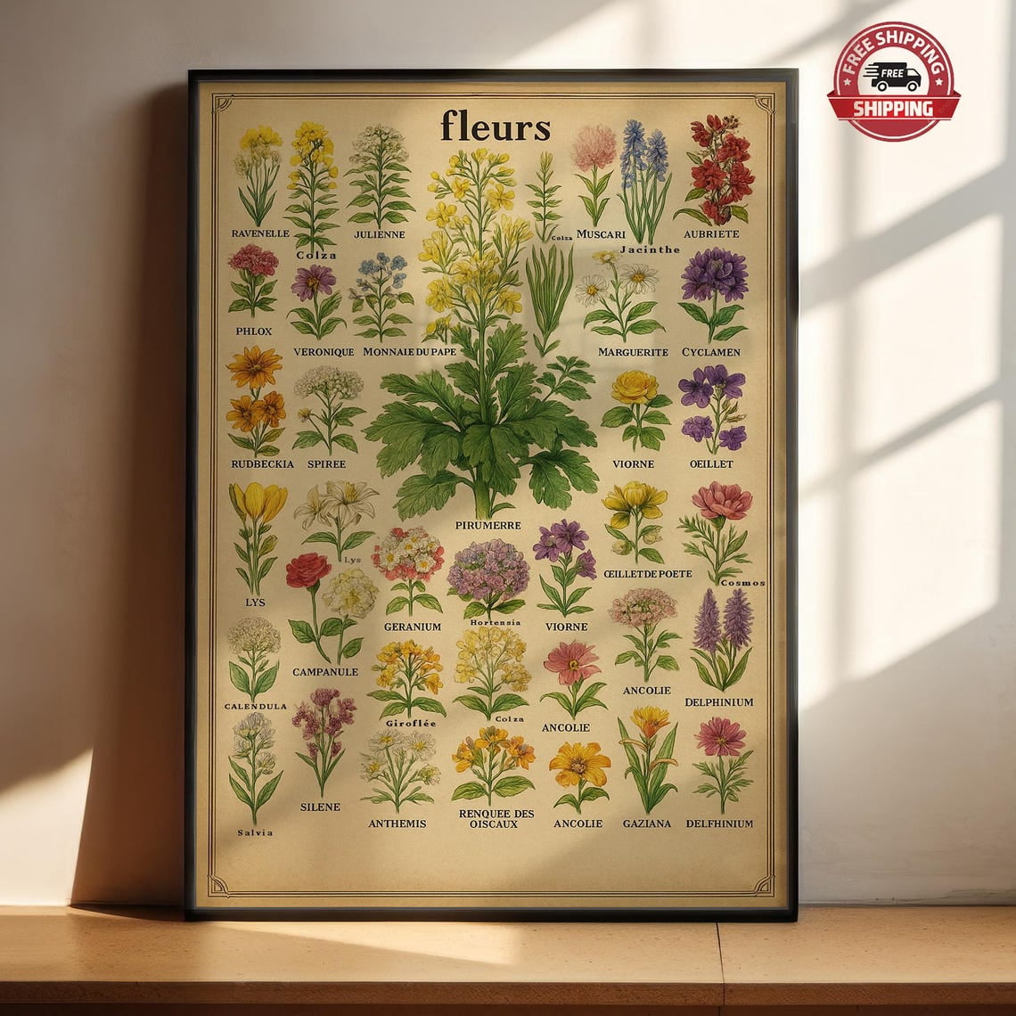 Adolphe Millot Botanical Vintage Floral Illustration, Stretched Canvas ...