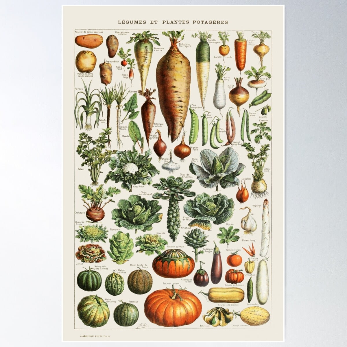 Adolphe Millot - Légumes pour tous Poster, 12x18 UNFRAMED - Walmart.com