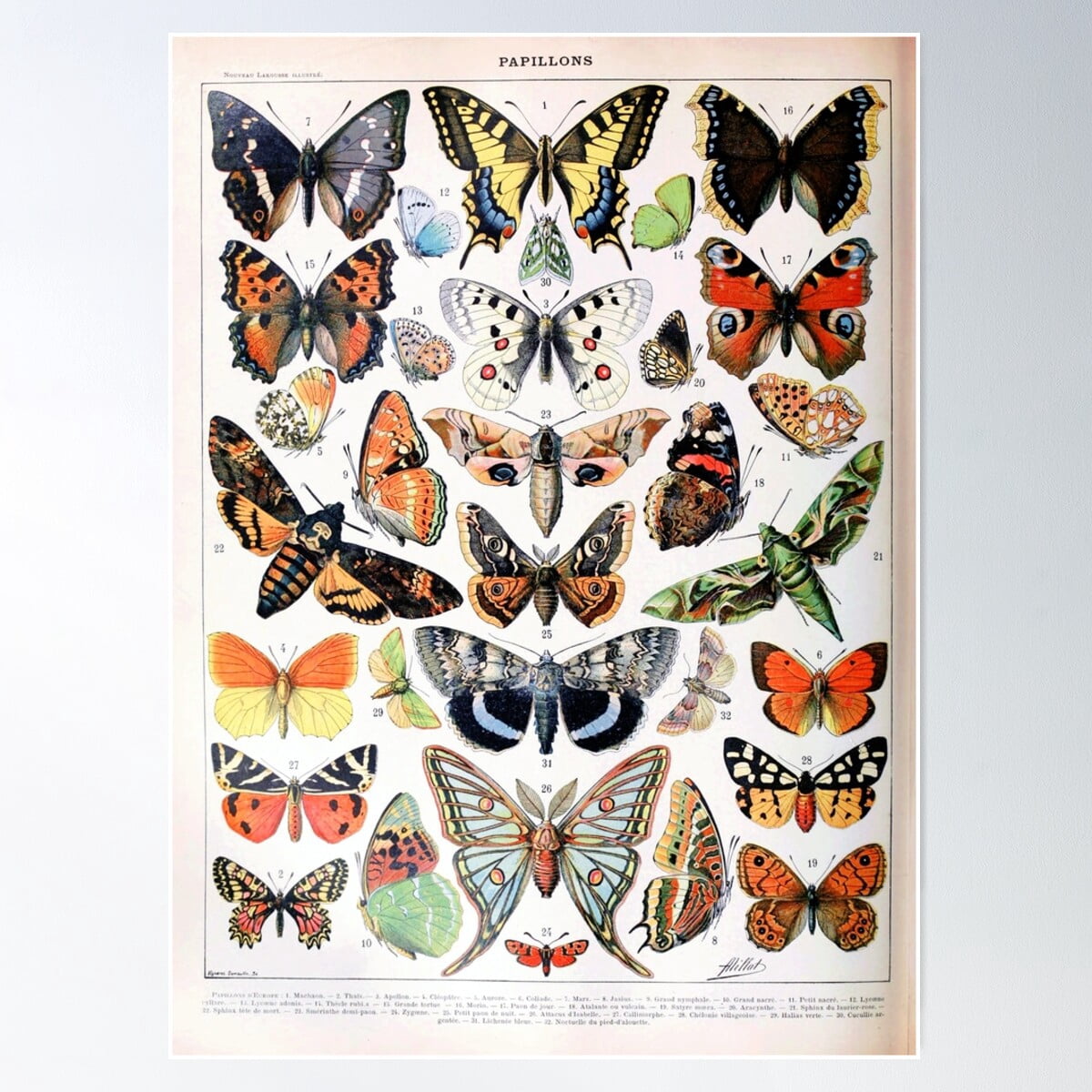 Adolphe Millot - Papillons A - French Vintage Poster Poster Wall Art ...