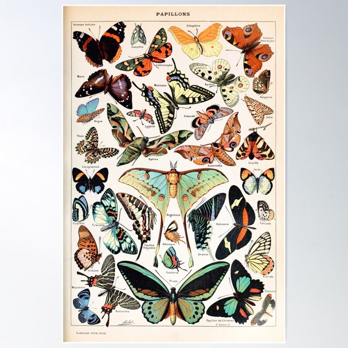 Adolphe Millot - Papillons Pour Tous - French Vintage Poster Poster ...