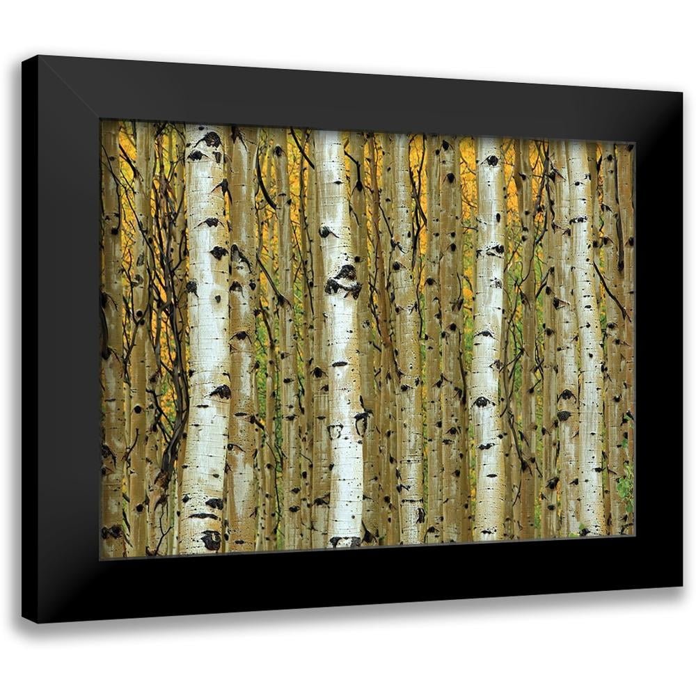 Adolphson 14x12 Black Modern Framed Museum Art Print Titled - Golden ...