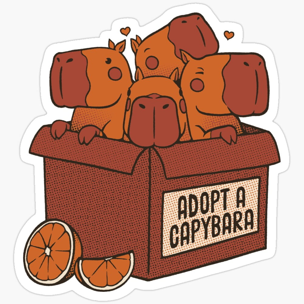 Adopt A Capybara Kawaii Capy Sticker Phone Decal Water Bottle Stickers ...