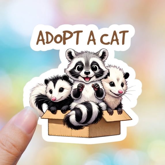 Adopt Cat Street Cat Racoon Cat Animal Sticker - Walmart.com