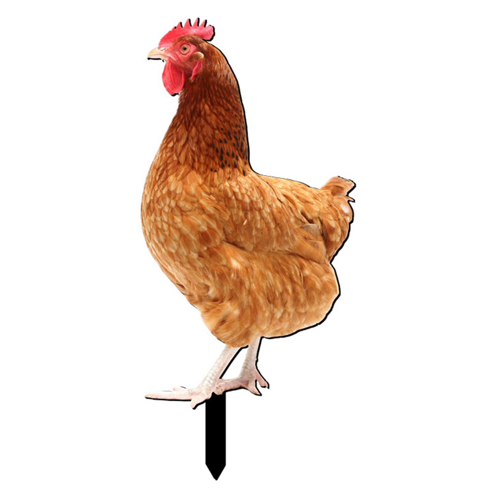 Adorable Acrylic Chicken Statue, Decorative Plug Set for Garden, Cute ...